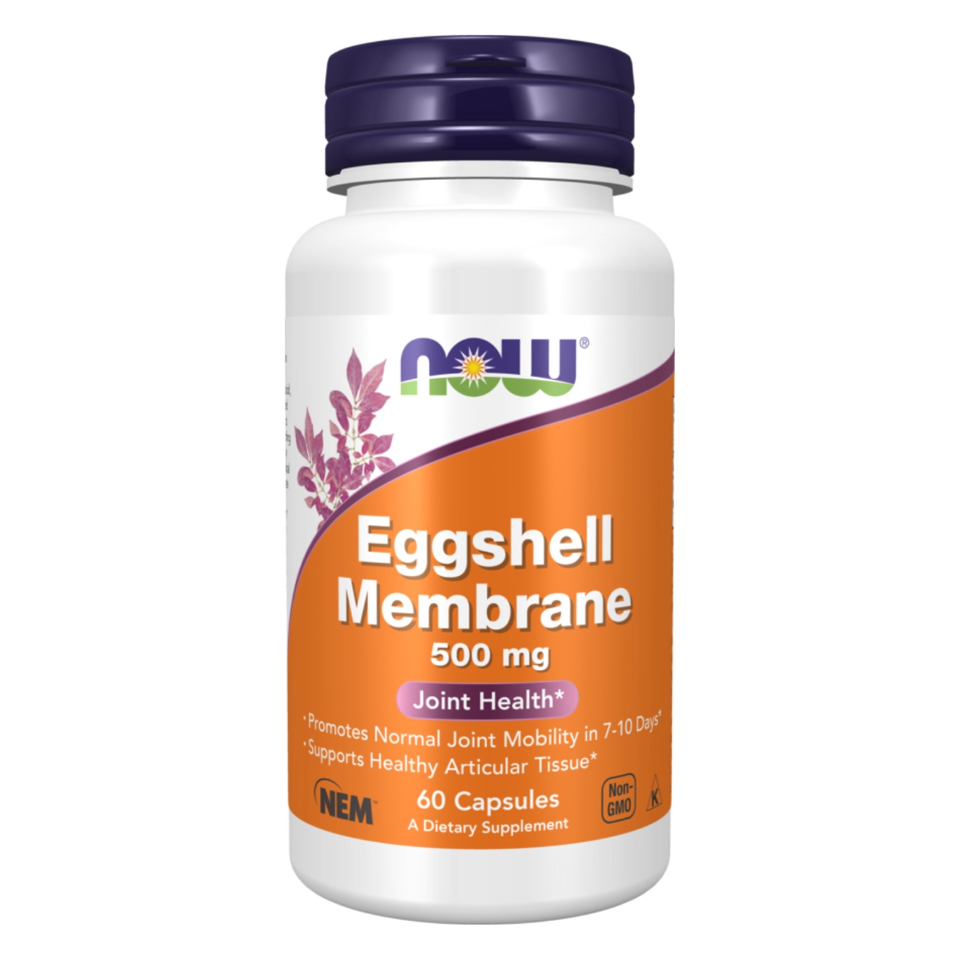 Now Eggshell Membrane 500mg 60 Veg Caps - SWANZA